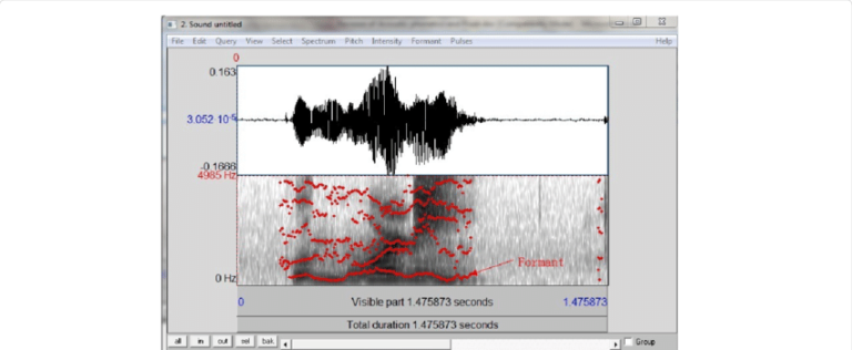 Acoustic Analysis: The Science Behind Sound - Teleanalysis