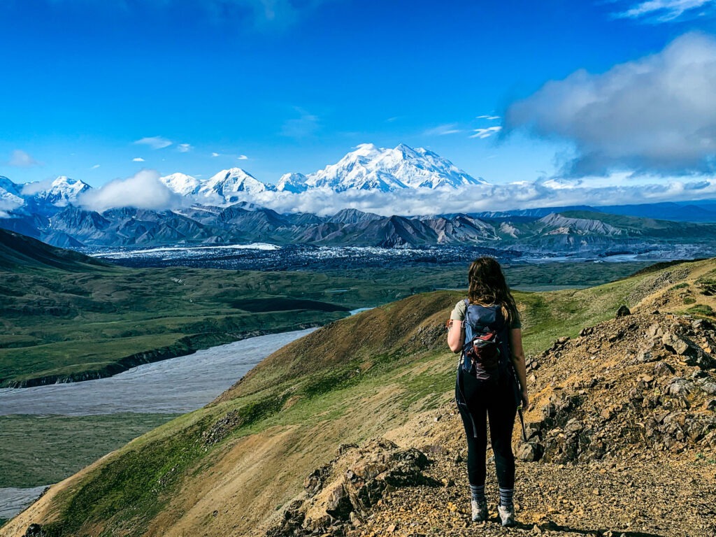 Denali National Park: Epic Wildlife, Adventure & Wonder