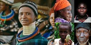 Understanding Human Diversity: A Celebration of Differences